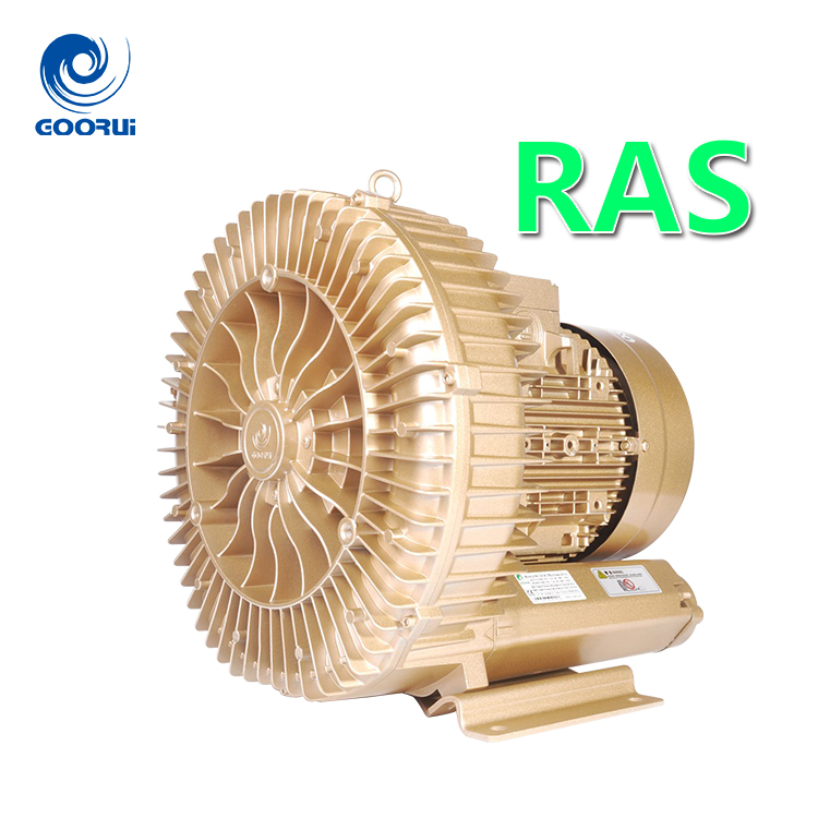 Recirculating aquaculture systems (RAS): Environmental solution and ...