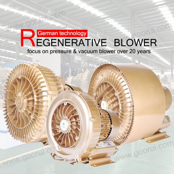 Regenerative Blower Muffler at Angelina Varley blog
